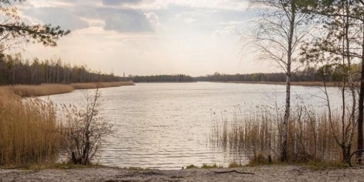 Osady denne w zastosowaniach energetycznych na podstawie analiz fizyko ...